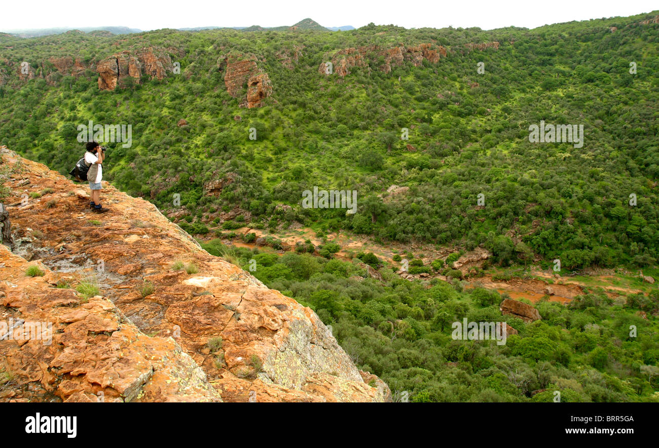 Tourist taking a photograph overlooking the Luvuvhu River gorge Stock ...