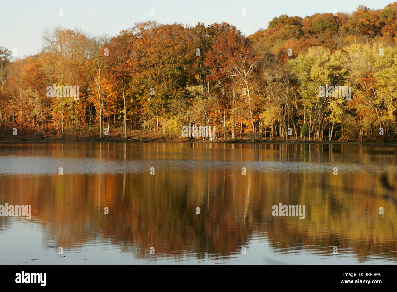Radnor hi-res stock photography and images - Alamy