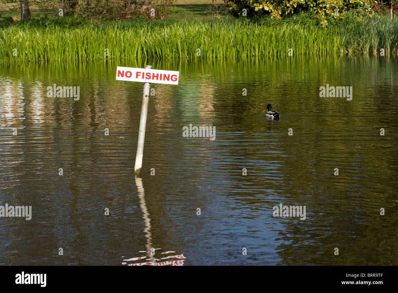 No fishing sign hi-res stock photography and images - Alamy