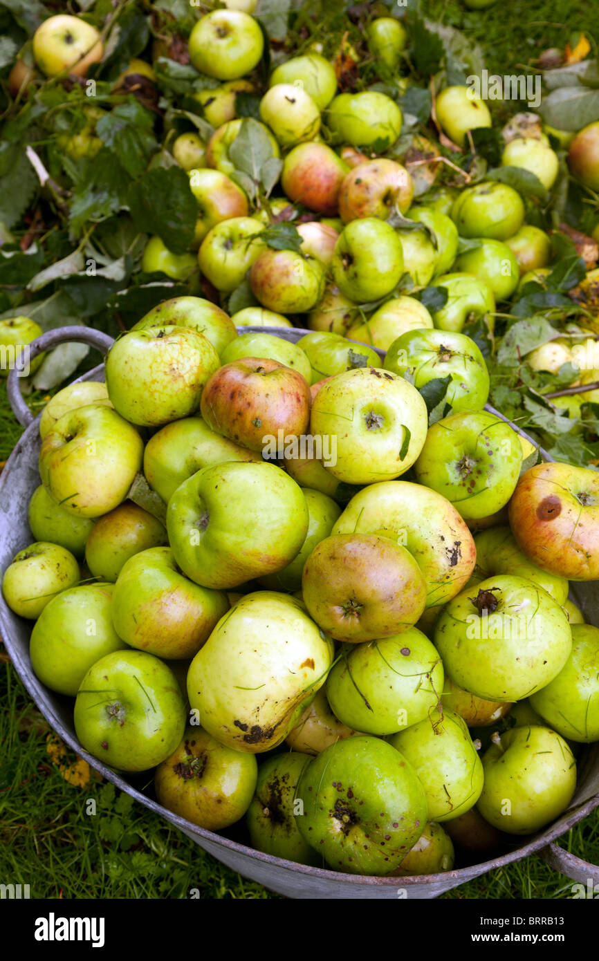 Cooking apples hi-res stock photography and images - Alamy