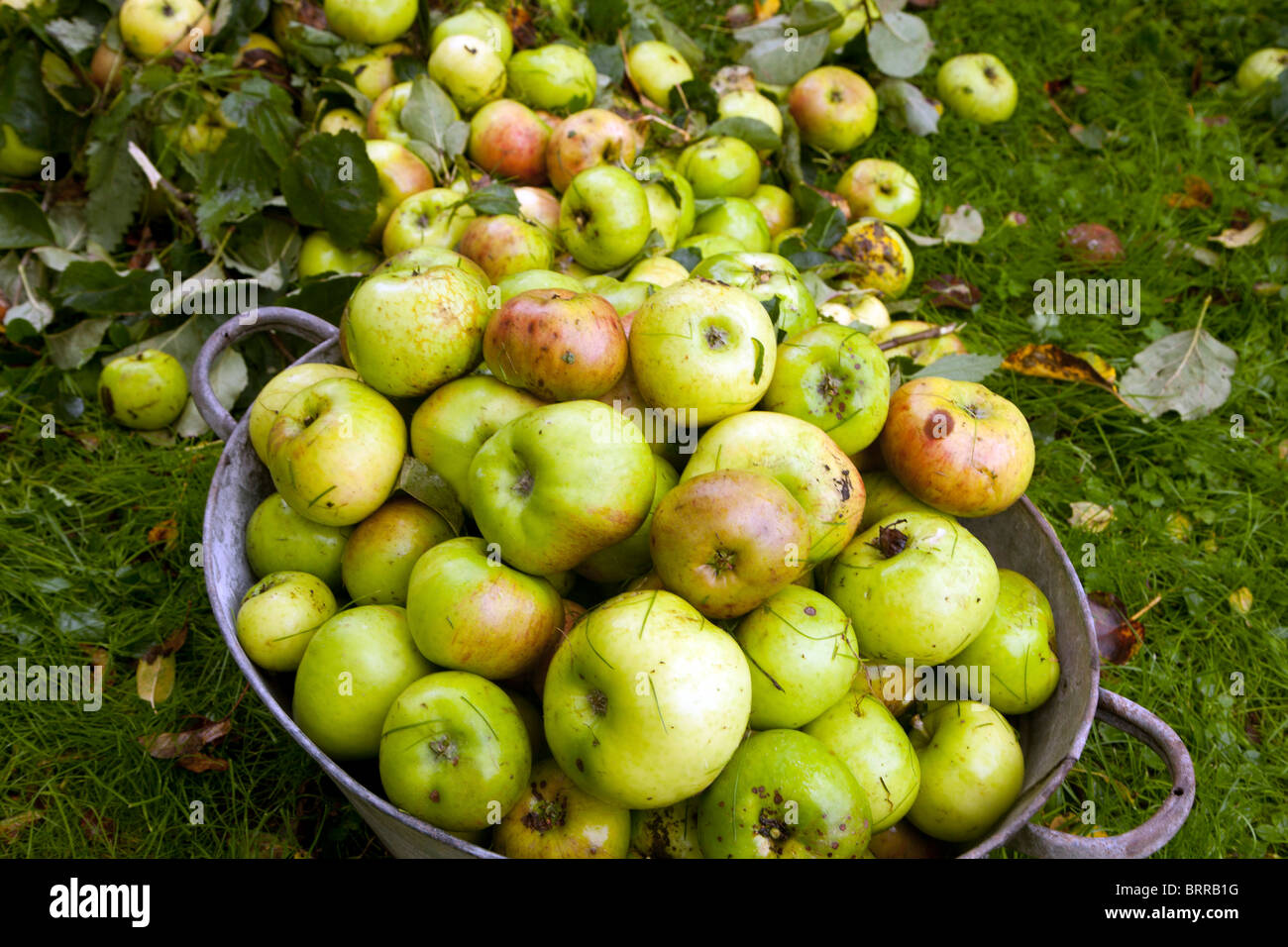 Cooking apples hi-res stock photography and images - Alamy
