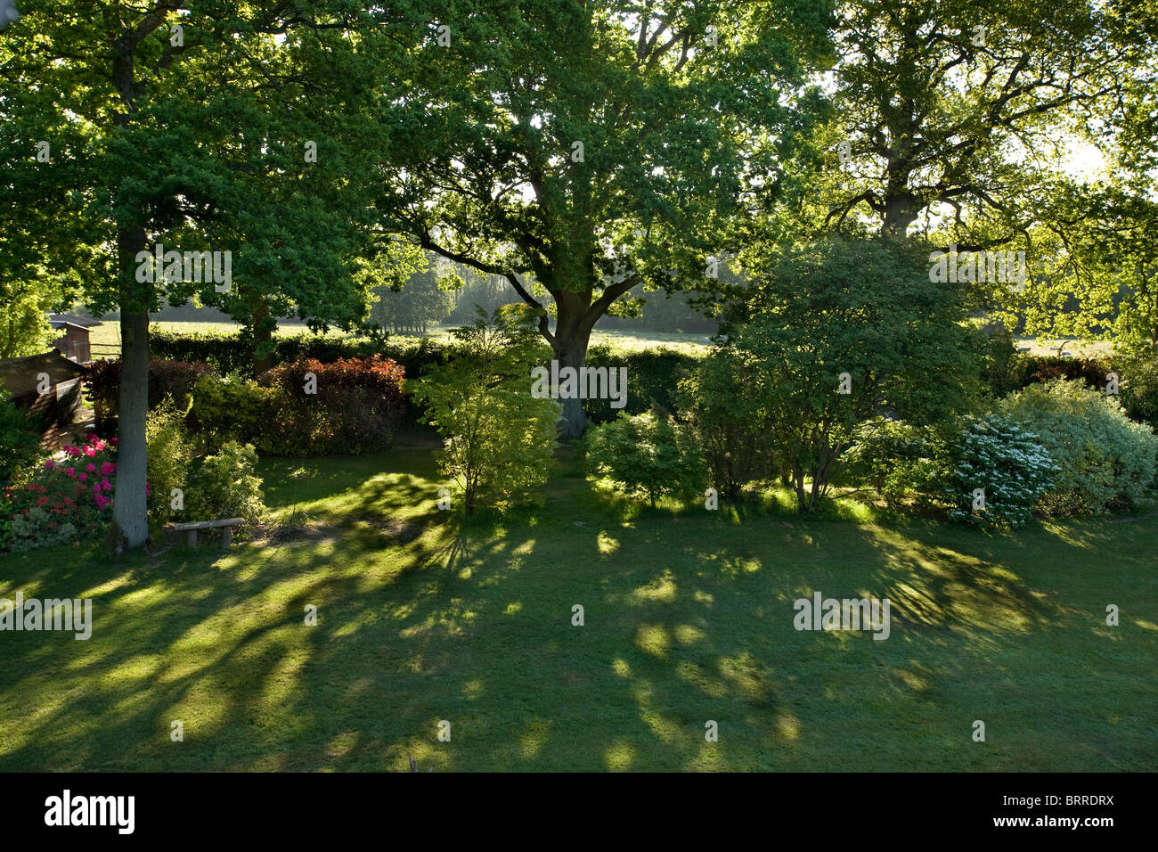 English morning hi-res stock photography and images - Alamy