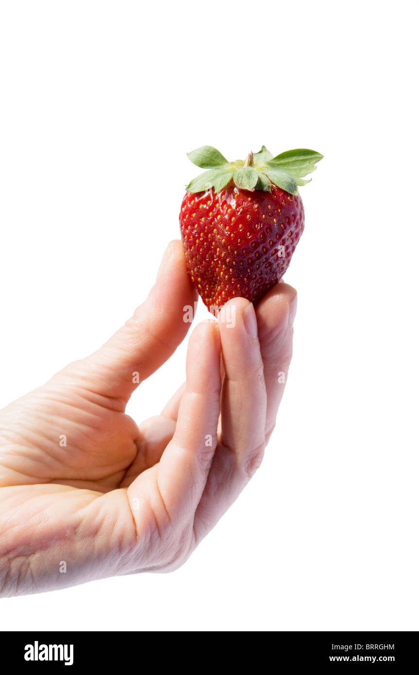 Hand holding a strawberry hi-res stock photography and images - Alamy