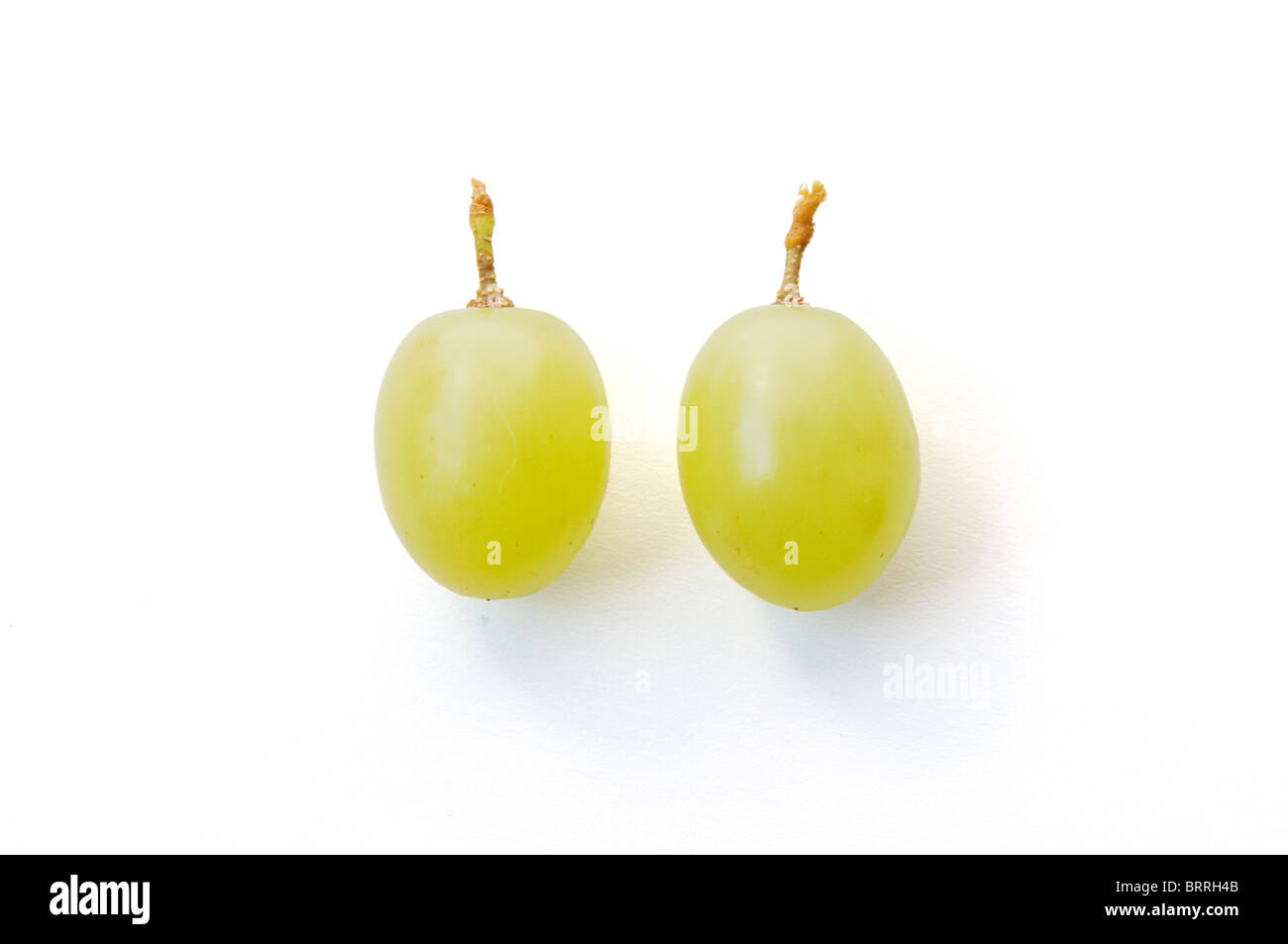 White grape still life hi-res stock photography and images - Alamy