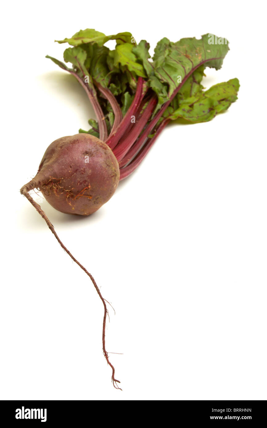 Pickled beetroot isolated hi-res stock photography and images - Alamy