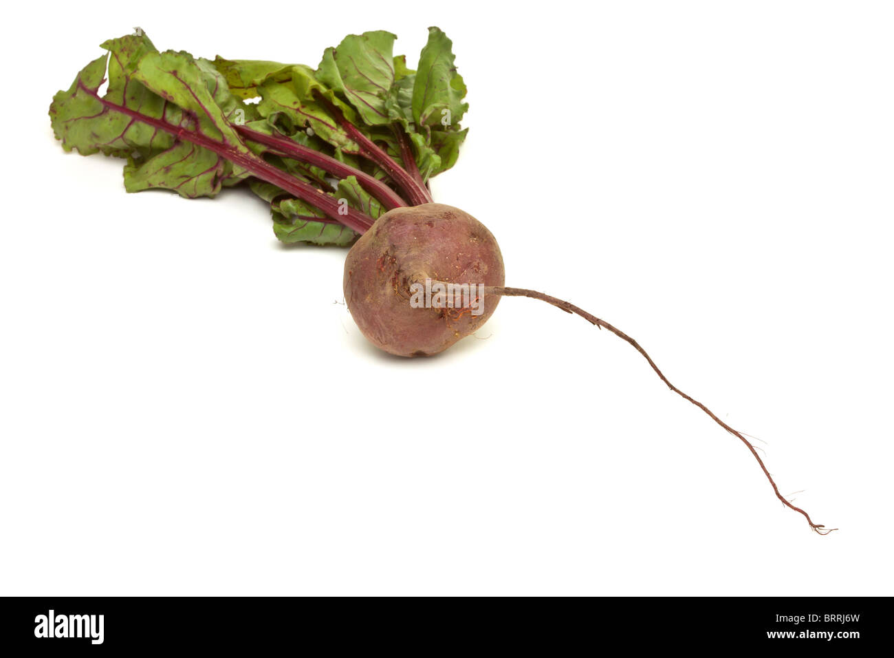 Freshly picked white purple Cut Out Stock Images & Pictures - Alamy