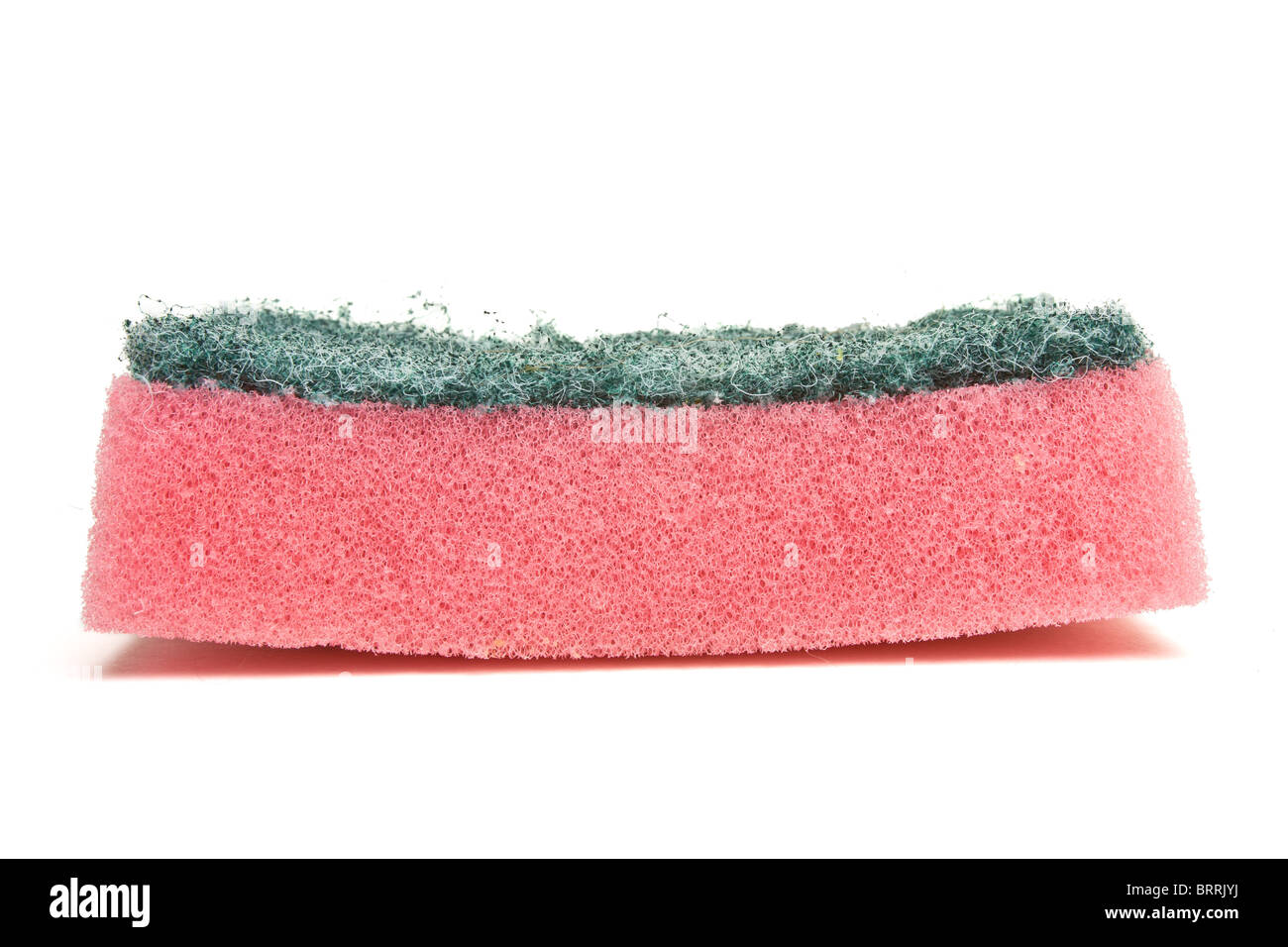Sponge Scourer from low perspective isolated on white Stock Photo - Alamy