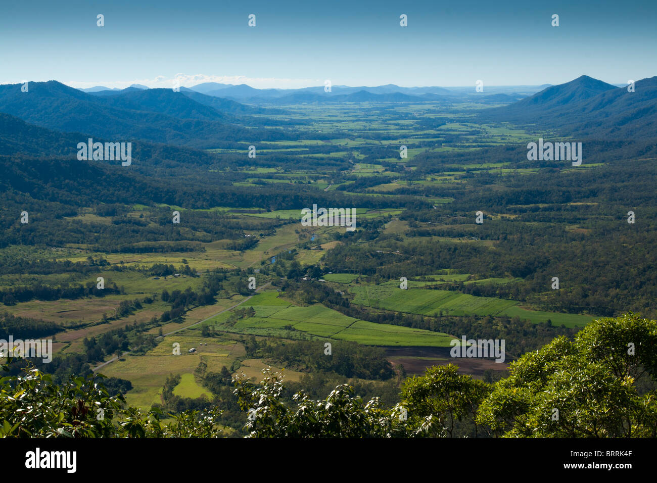 Eungella National Park High Resolution Stock Photography and Images - Alamy