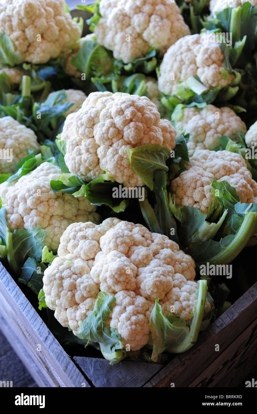 Cauliflower fresh produce farm stand New York Naples NY Finger Lakes ...