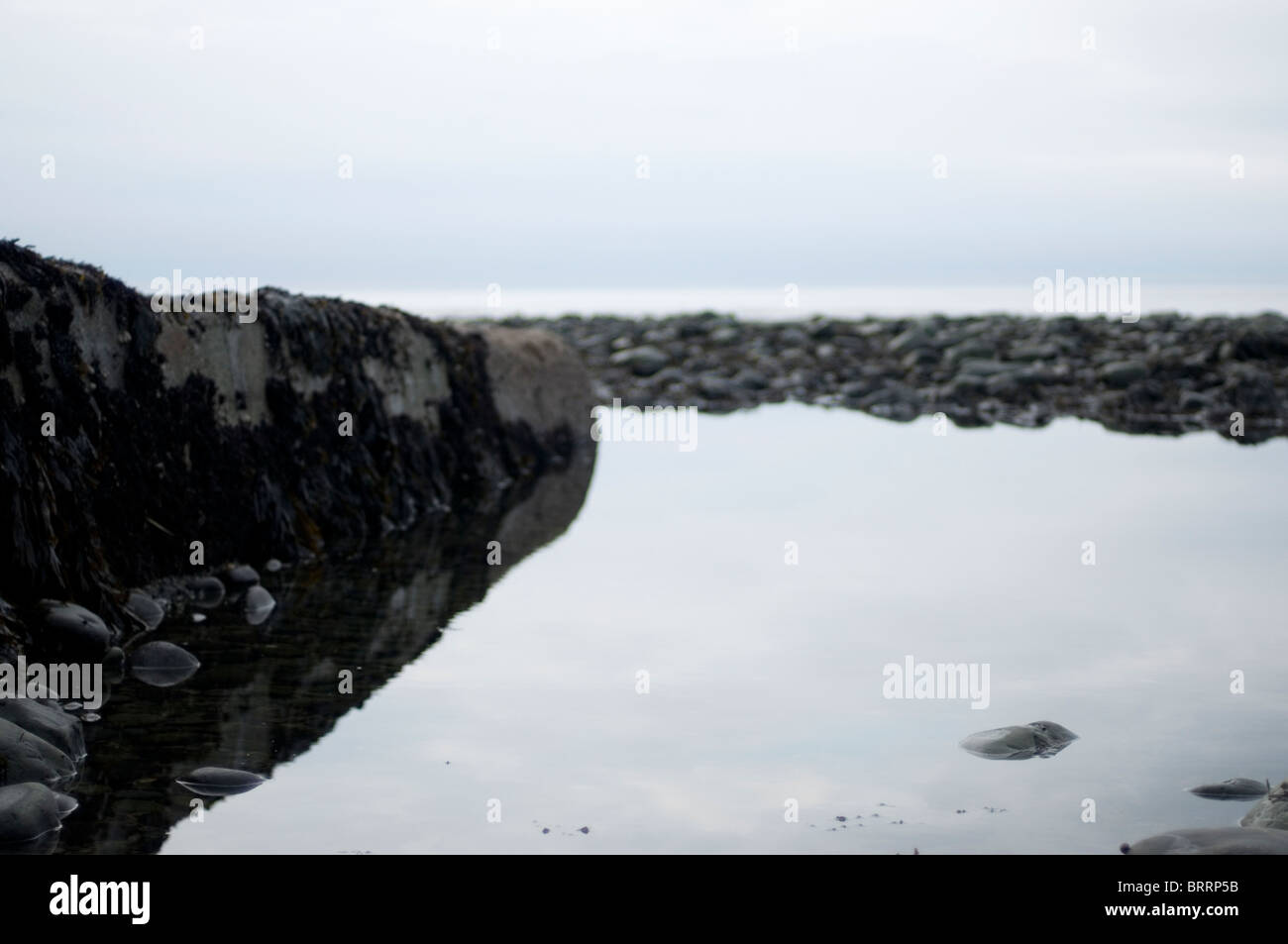 Shallow pools hi-res stock photography and images - Alamy