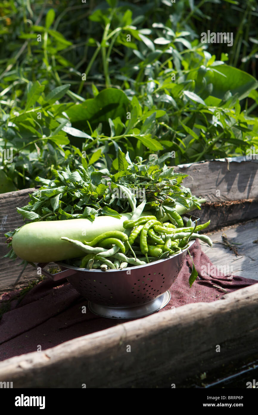 Vegetables eggplant boat hi-res stock photography and images - Alamy