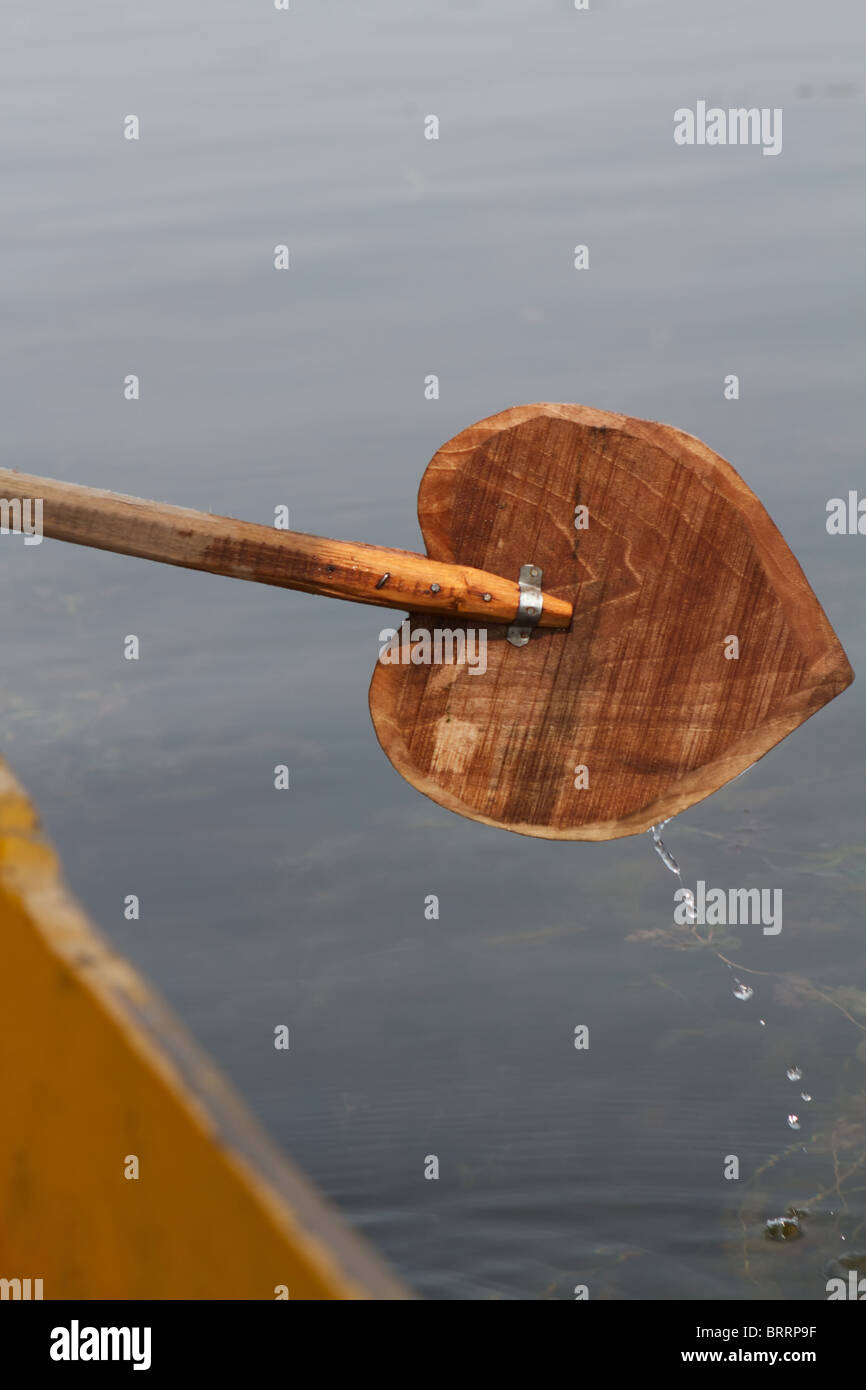 heart shaped paddle on the dal lake in srinagar Stock Photo - Alamy