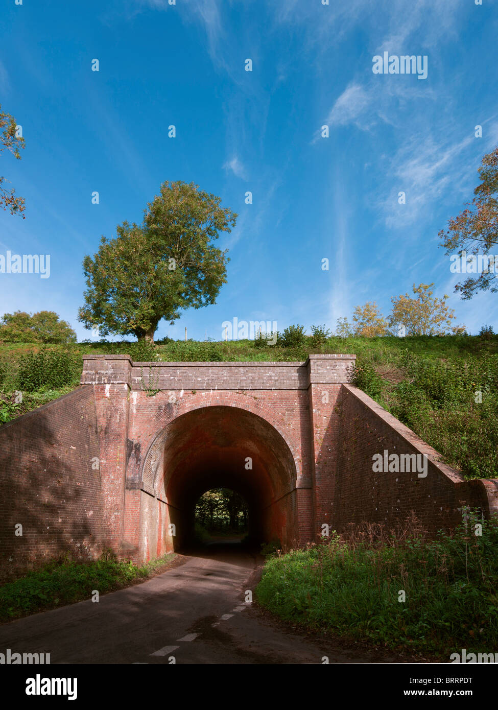 Red Brick Tunnel on a rail embankment with road under with single tree ...