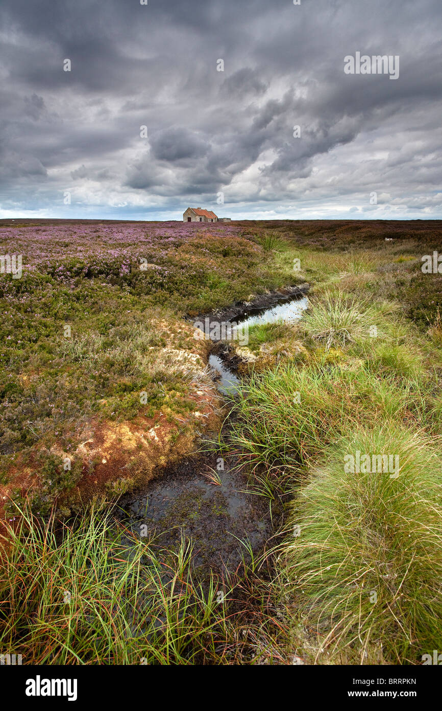 Peat moors uk hi-res stock photography and images - Alamy