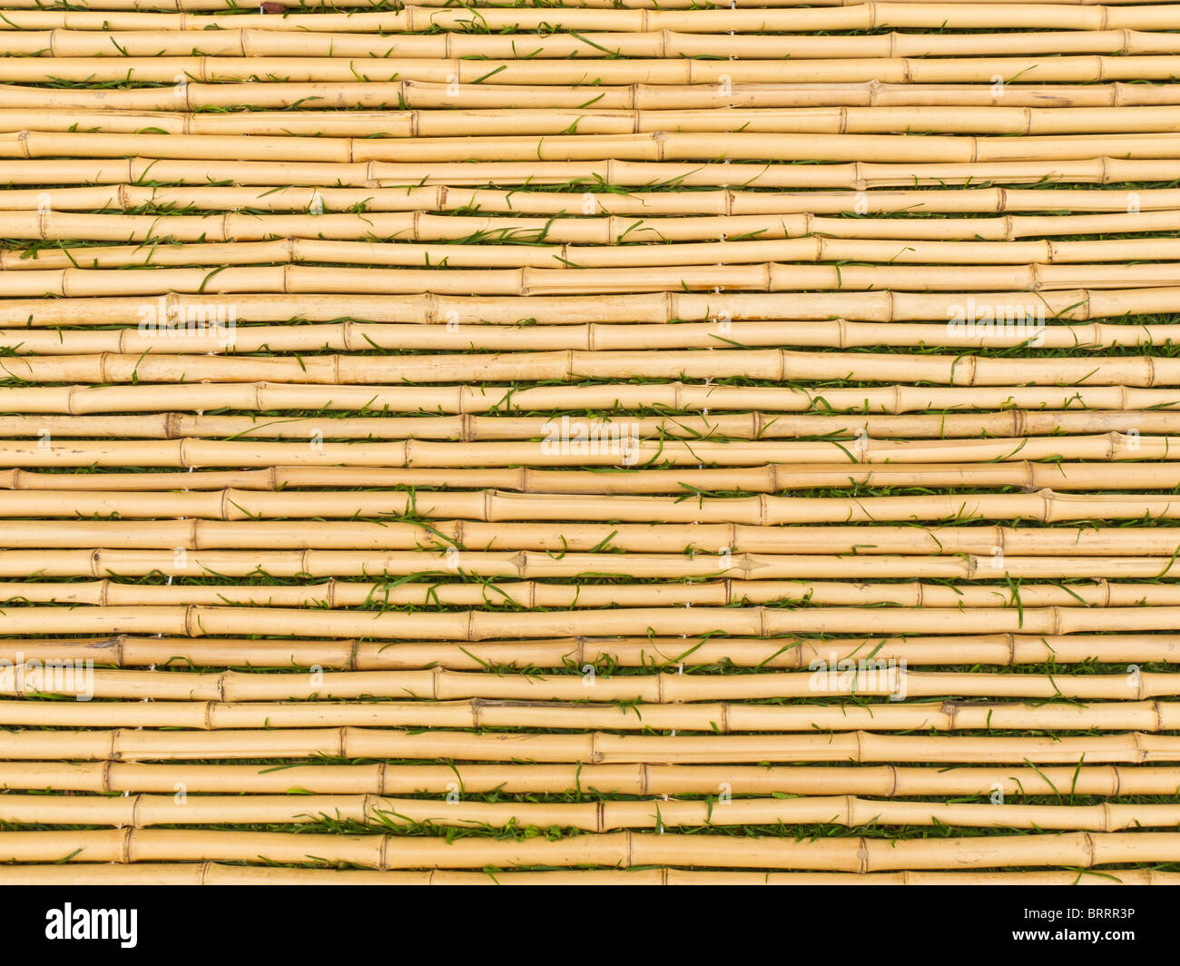 Horizontal bamboo hi-res stock photography and images - Alamy