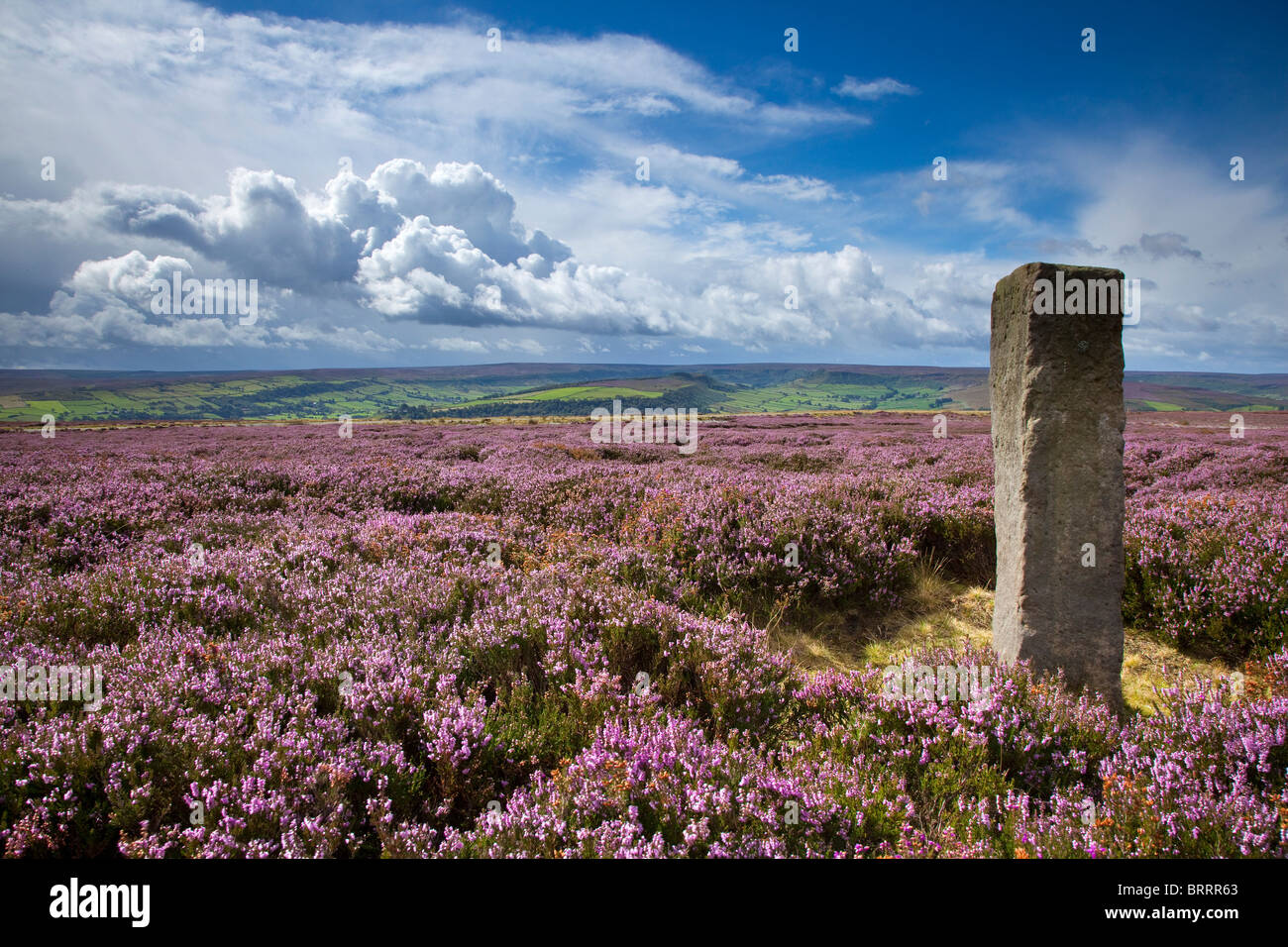 Danby beacon stone hi-res stock photography and images - Alamy