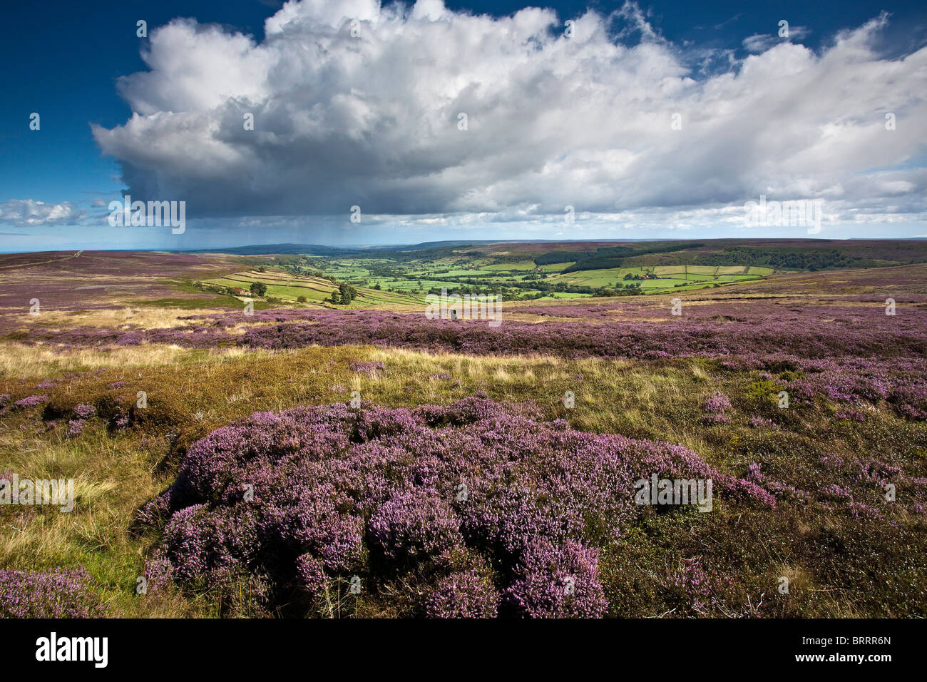 York moors boundary stone hi-res stock photography and images - Alamy
