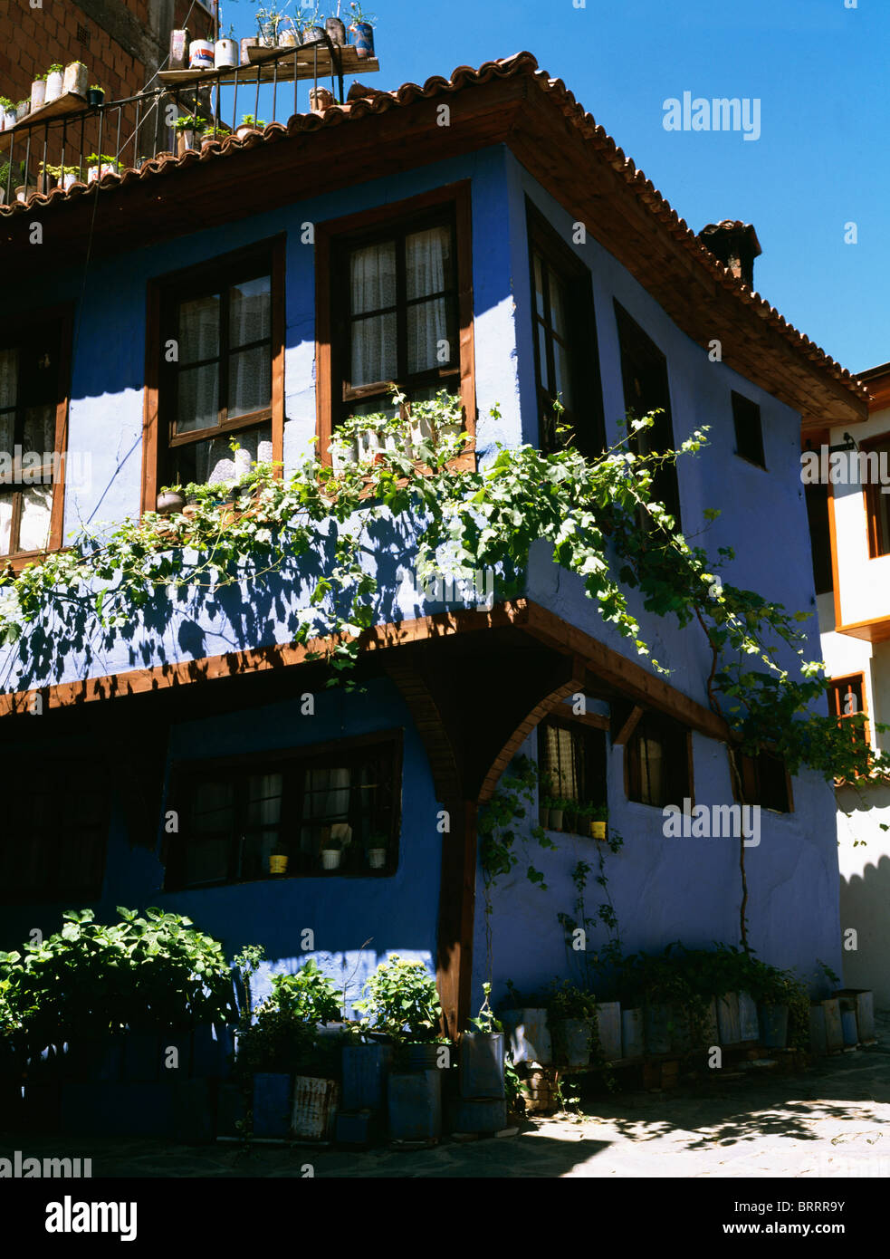 Trailing ivy in window-boxes on balcony of traditional mauve Turkish ...