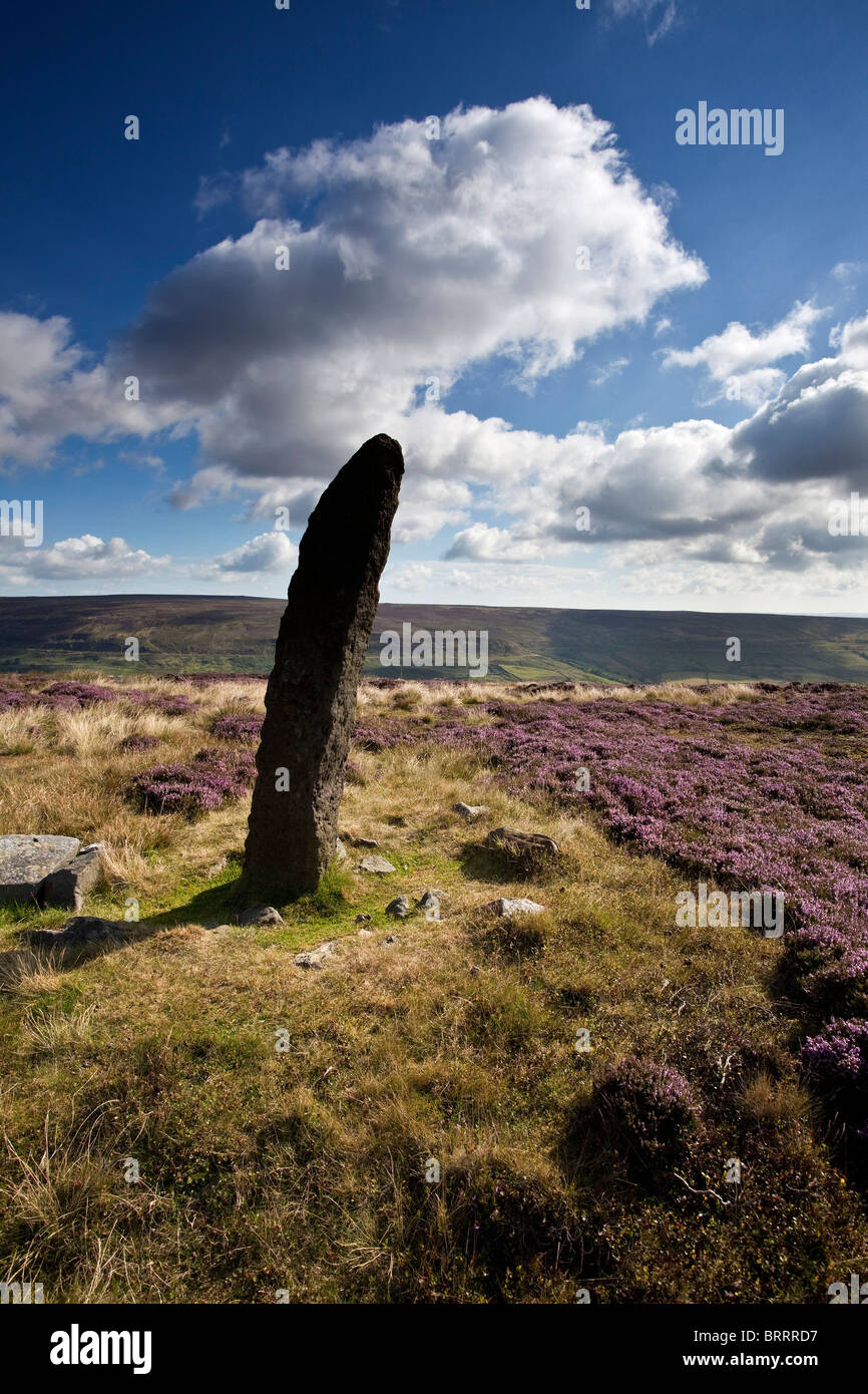 Blakey ridge, north yorkshire hi-res stock photography and images - Alamy