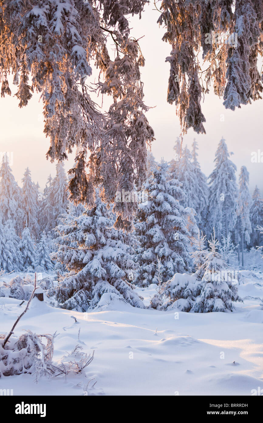 Winter germany hi-res stock photography and images - Alamy