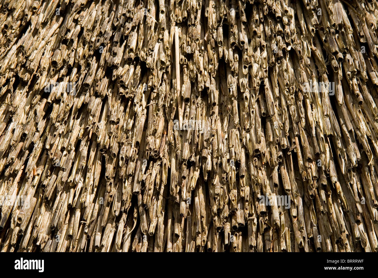 Conical thatched roof hi-res stock photography and images - Alamy