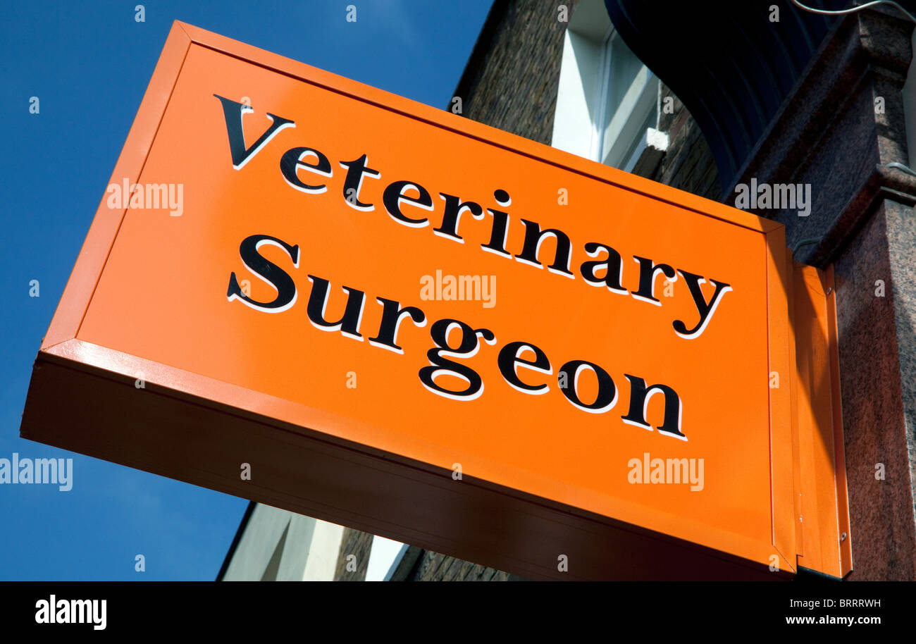 Veterinary sign hi-res stock photography and images - Alamy