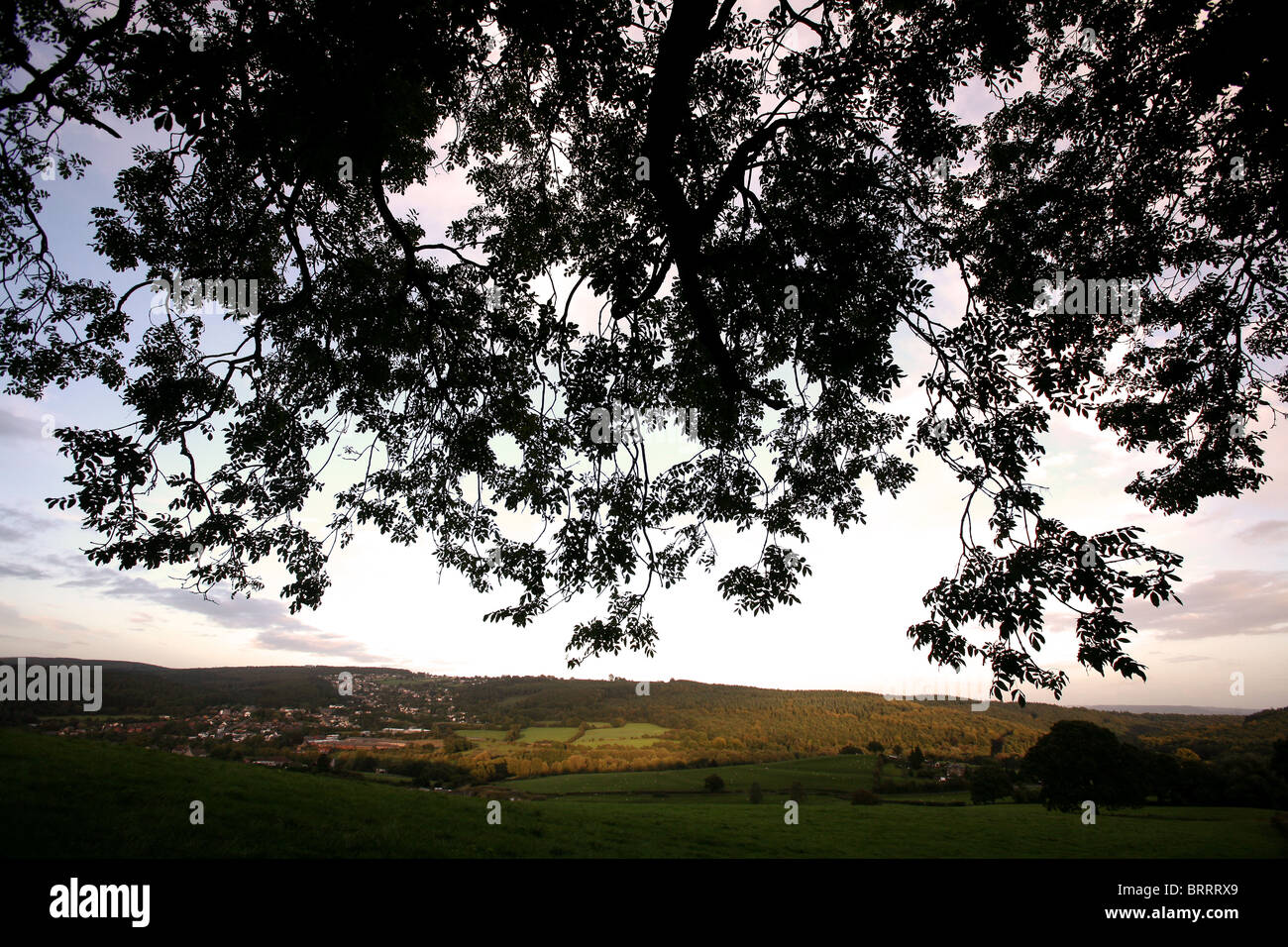 Countryside seen from underneath a tree canopy Stock Photo - Alamy