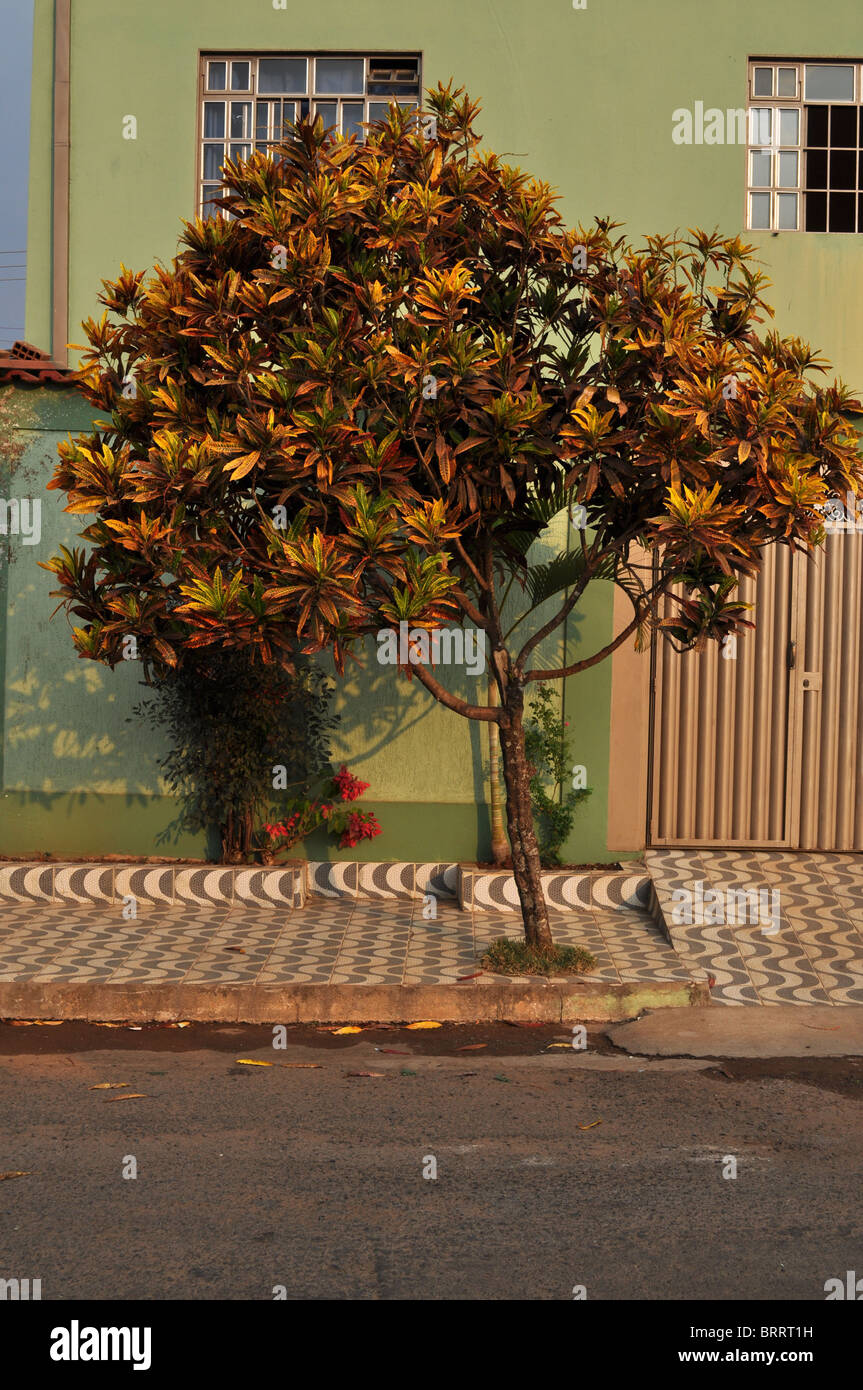 Central brazil hi-res stock photography and images - Alamy