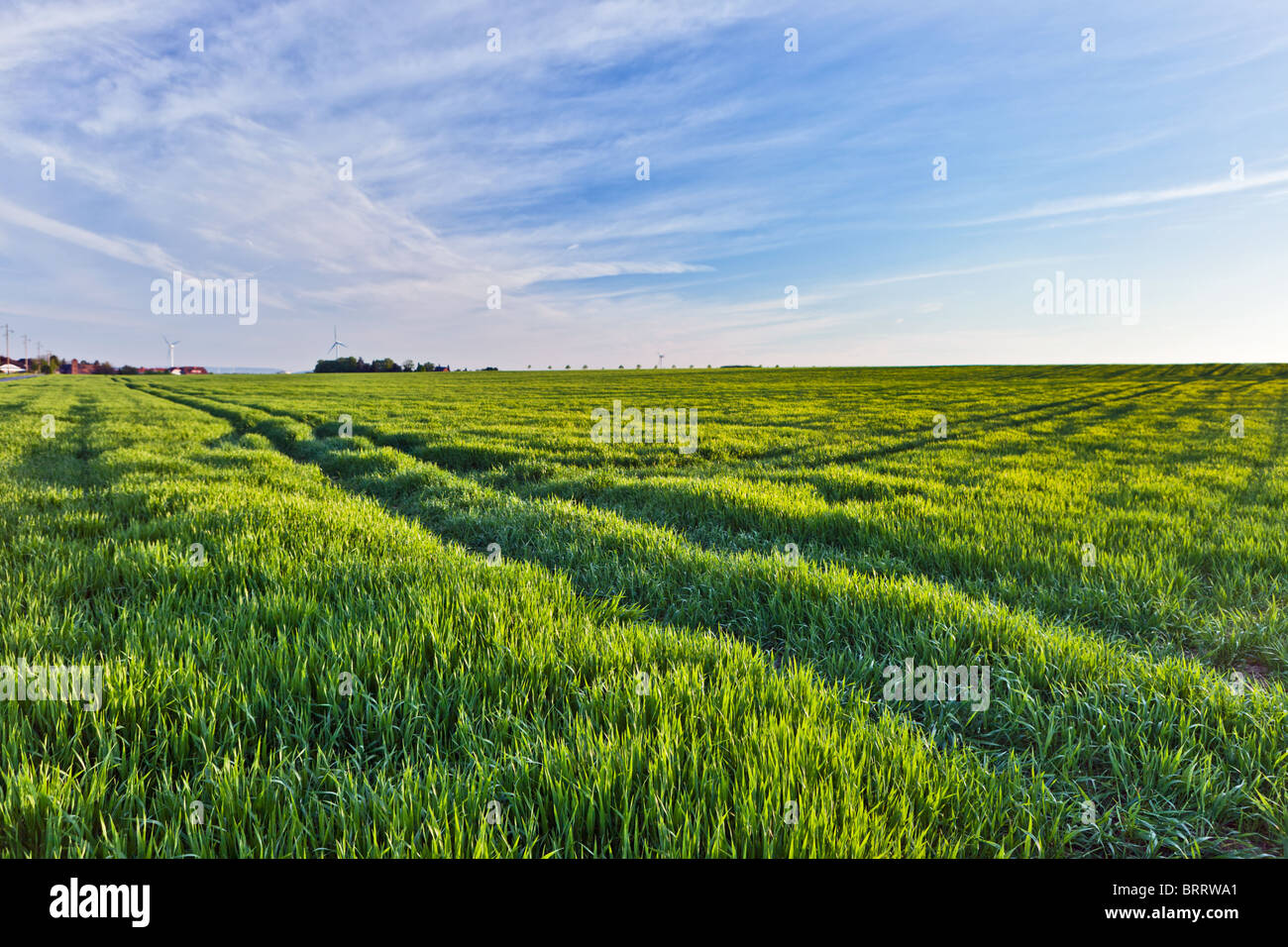 A summer landscape in the netherlands Stock Photo - Alamy
