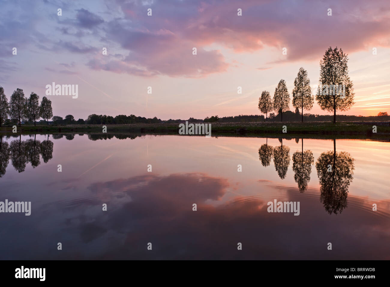 Leafless tree near lake on sunset background sky Stock Photo - Alamy