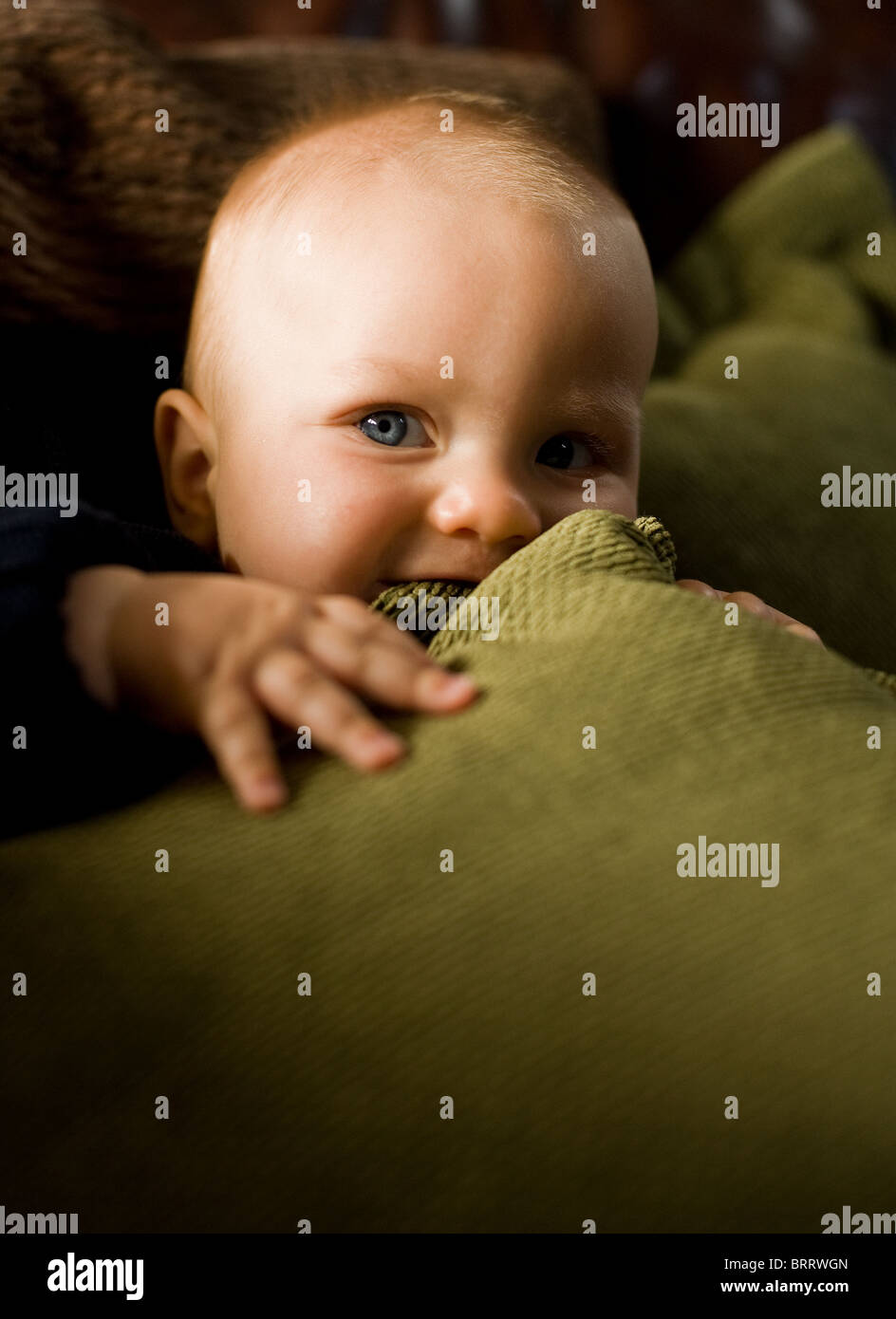 Harry a hi-res stock photography and images - Alamy