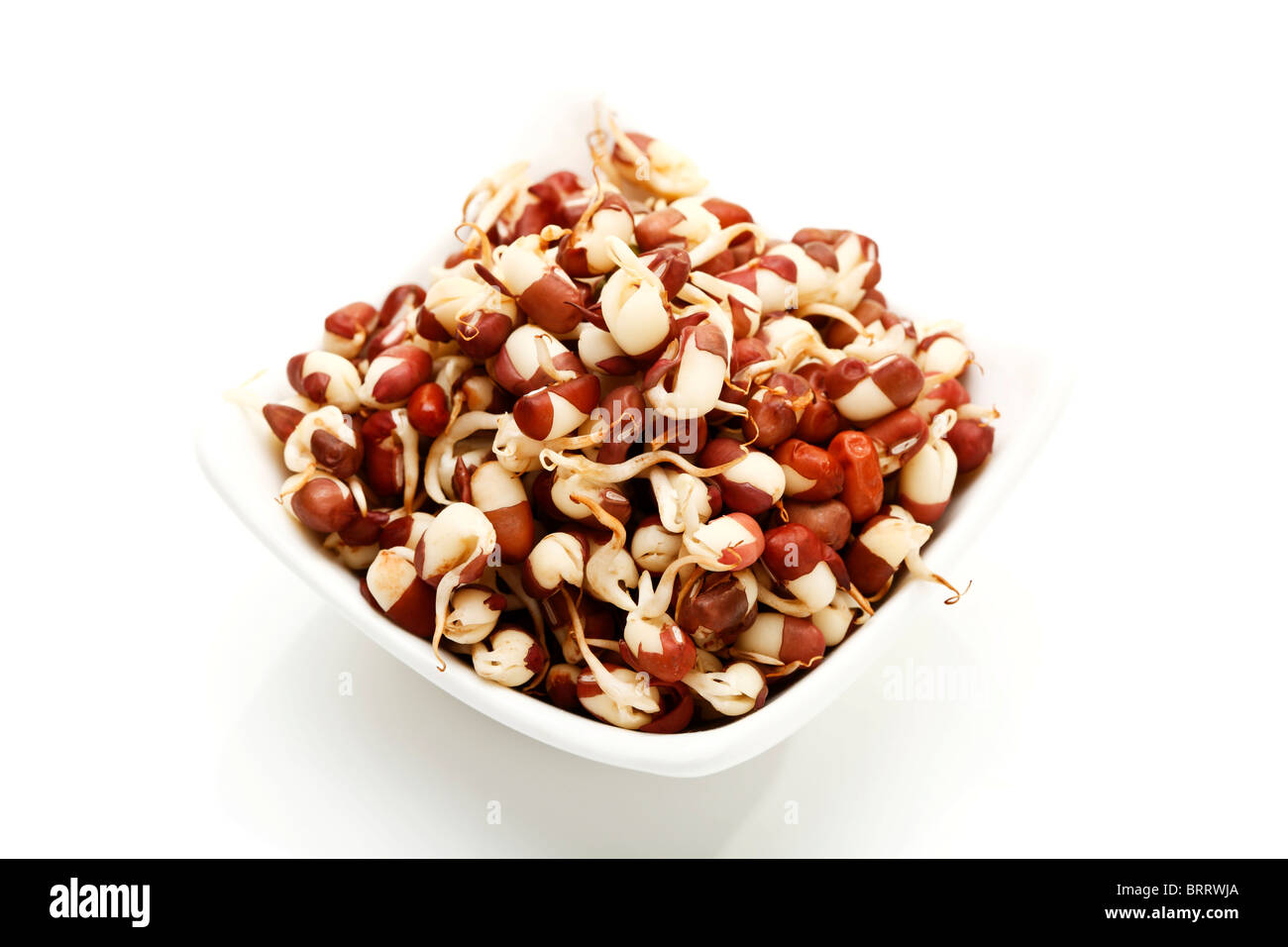 Adzuki sprouts hi-res stock photography and images - Alamy