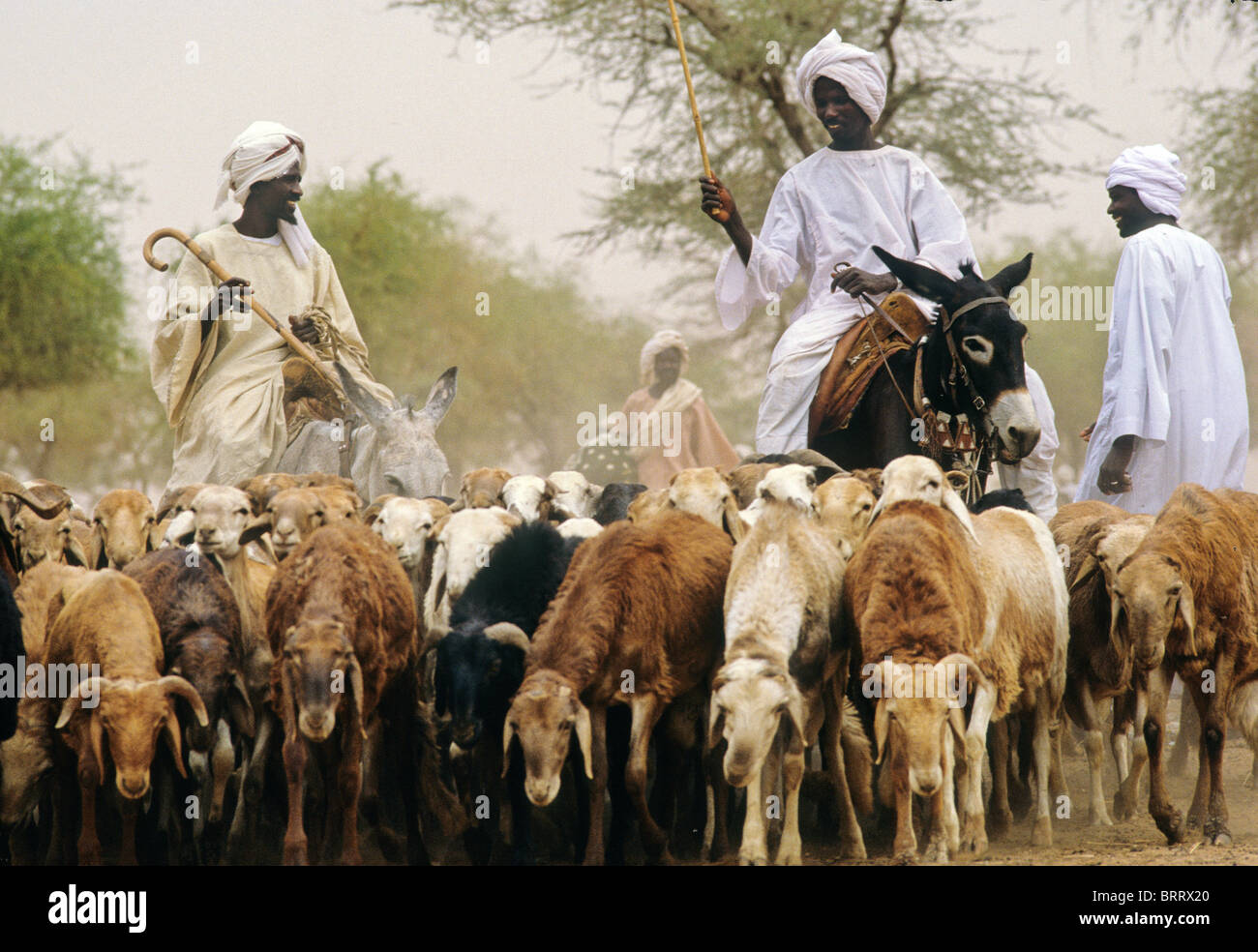 Darfur famine hi-res stock photography and images - Alamy