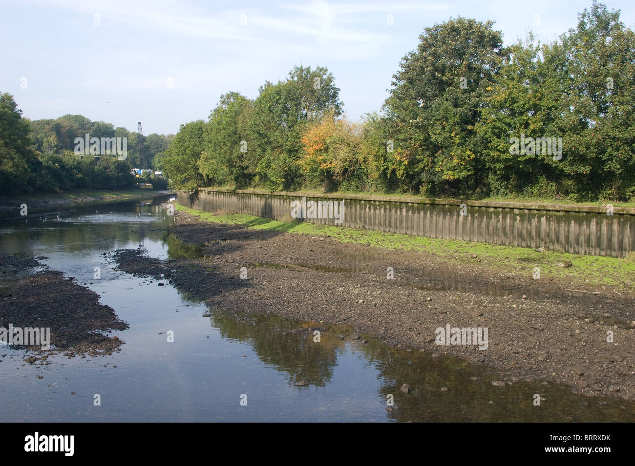 low tide rocks river bed bank trees quiet relaxing Stock Photo - Alamy