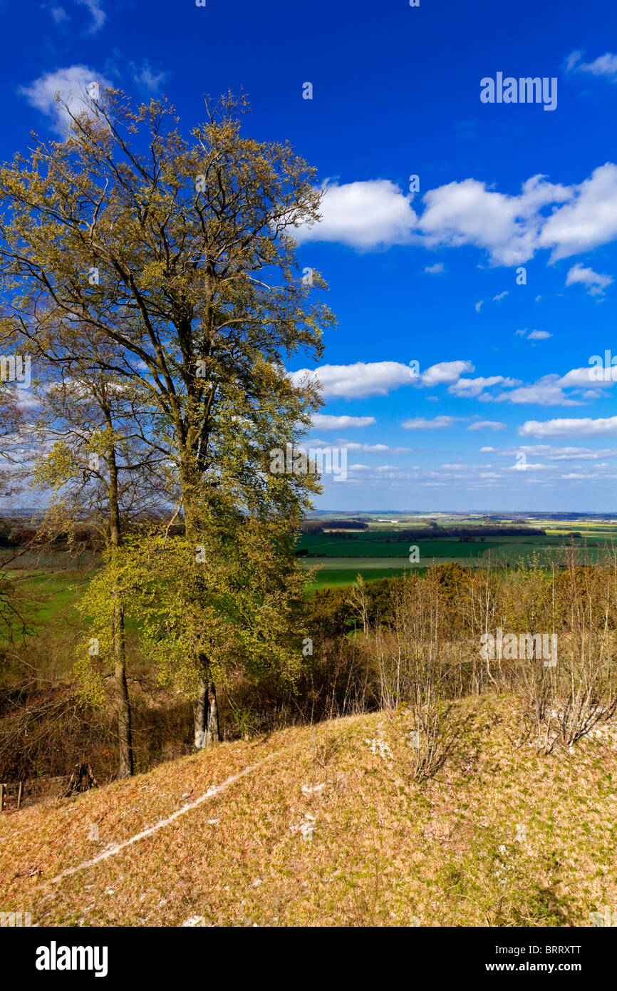 Danebury Hill Fort an Iron Age Hill Fort near Andover in Hampshire ...