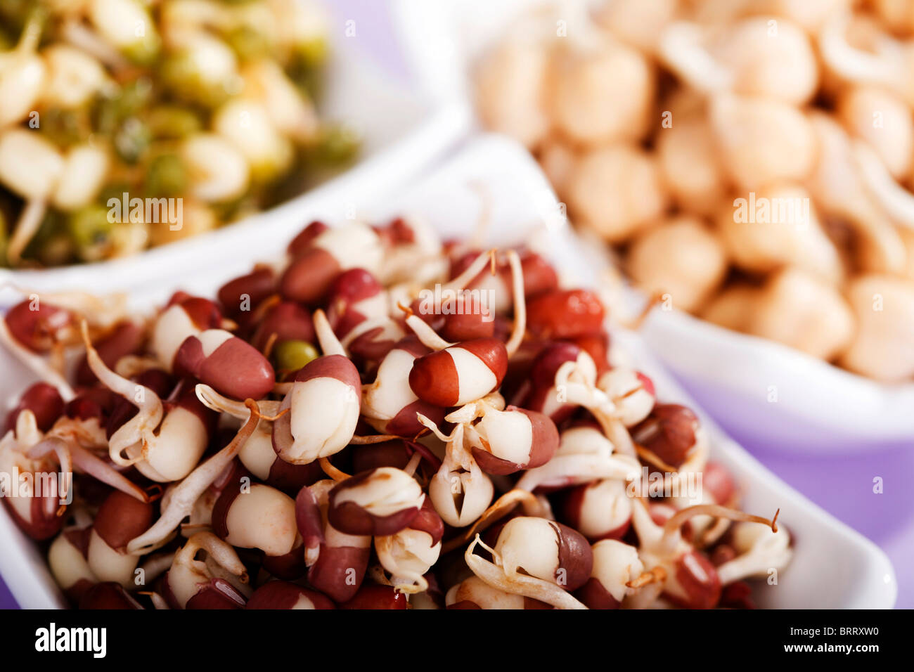 Chick pea, mung bean and azuki bean sprouts Stock Photo - Alamy