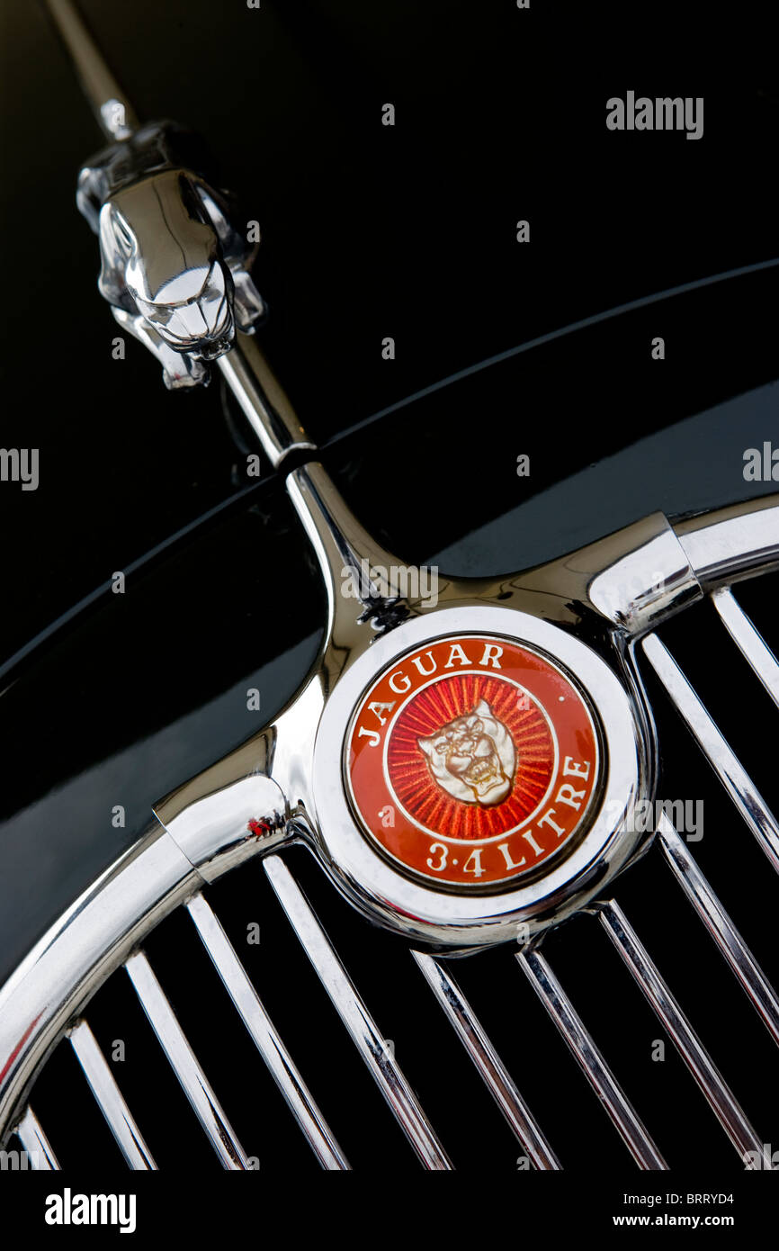 jaguar front grill and mascot goodwood revival 2010 Stock Photo - Alamy