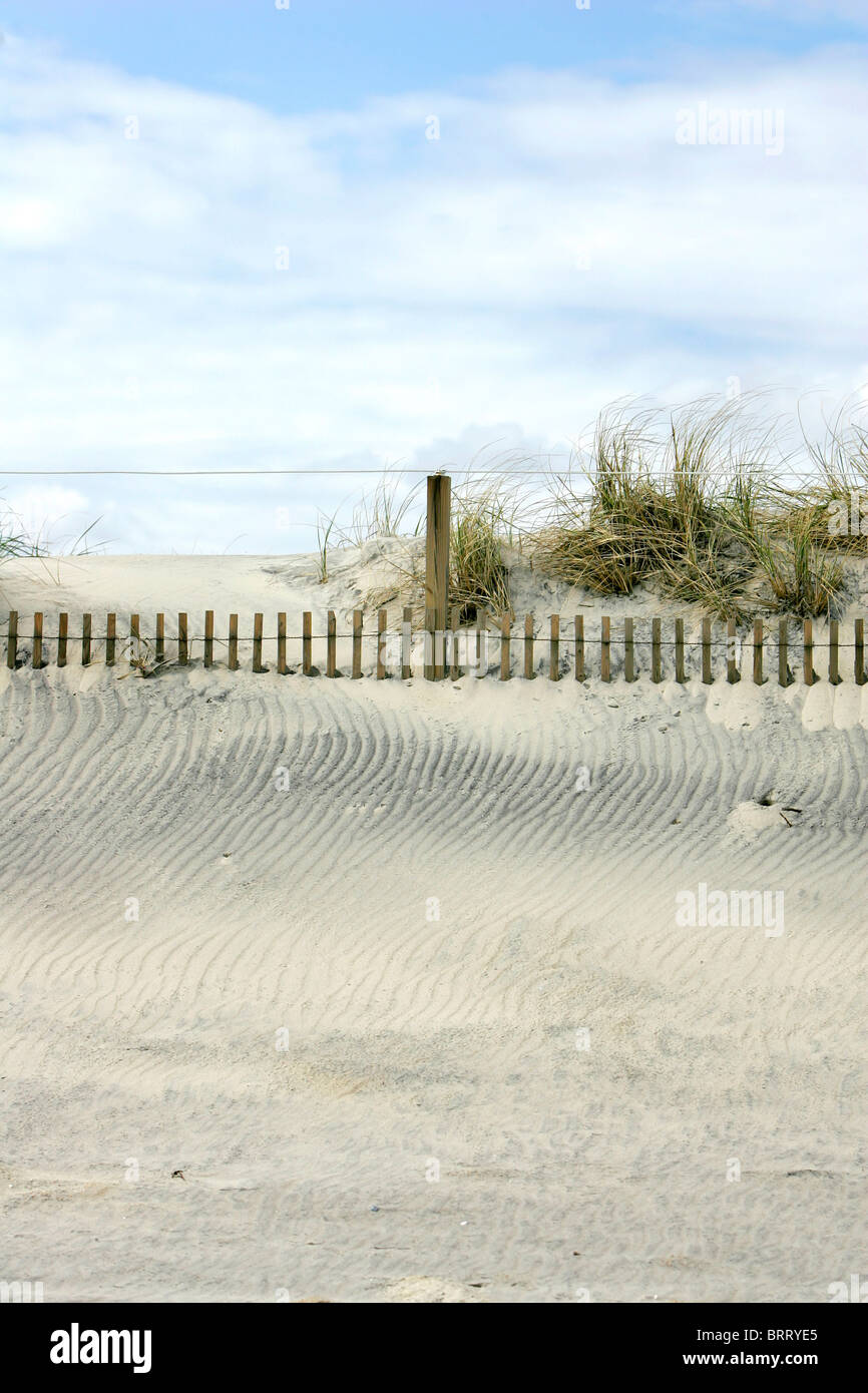 Protect beaches hi-res stock photography and images - Alamy