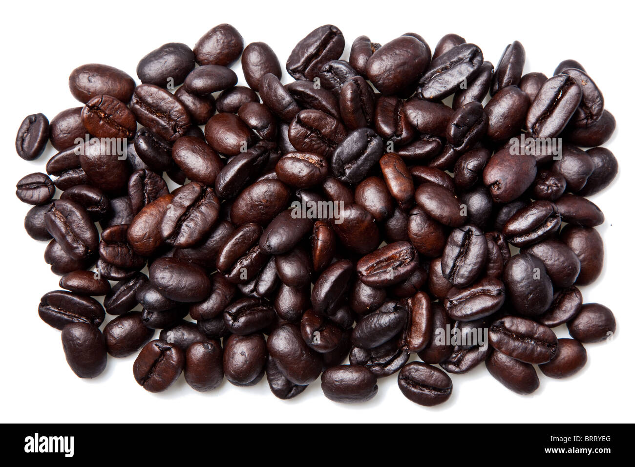 coffee beans isolated on a white background with drop shadow Stock ...