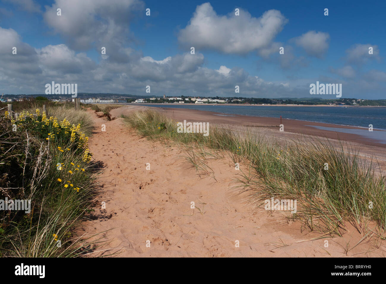 The spit of Dawlish Warren, on the Exe estuary Stock Photo - Alamy