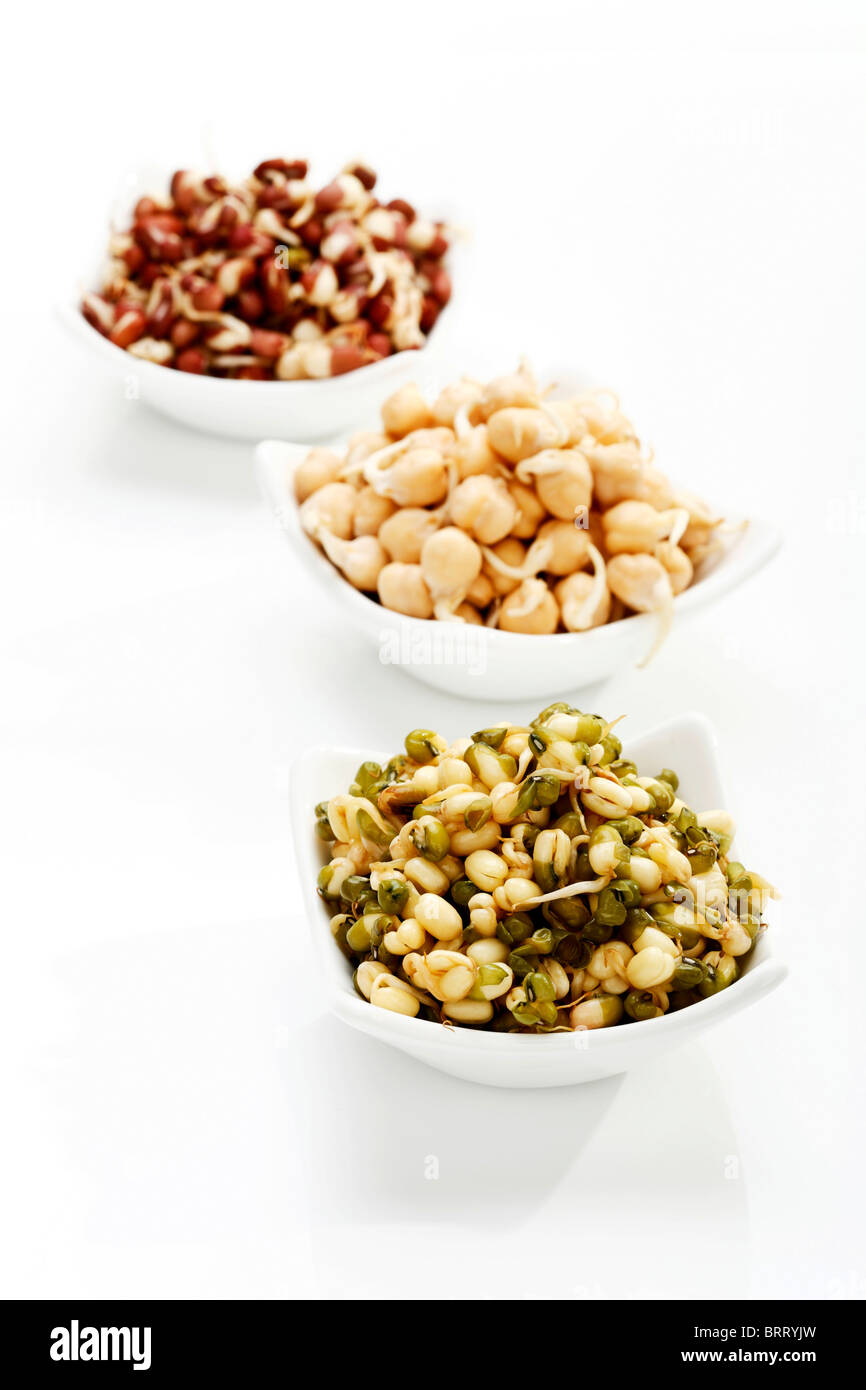 M angularis hi-res stock photography and images - Alamy