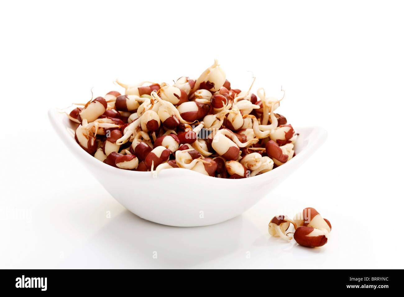 Close up photo of sprouts hi-res stock photography and images - Alamy