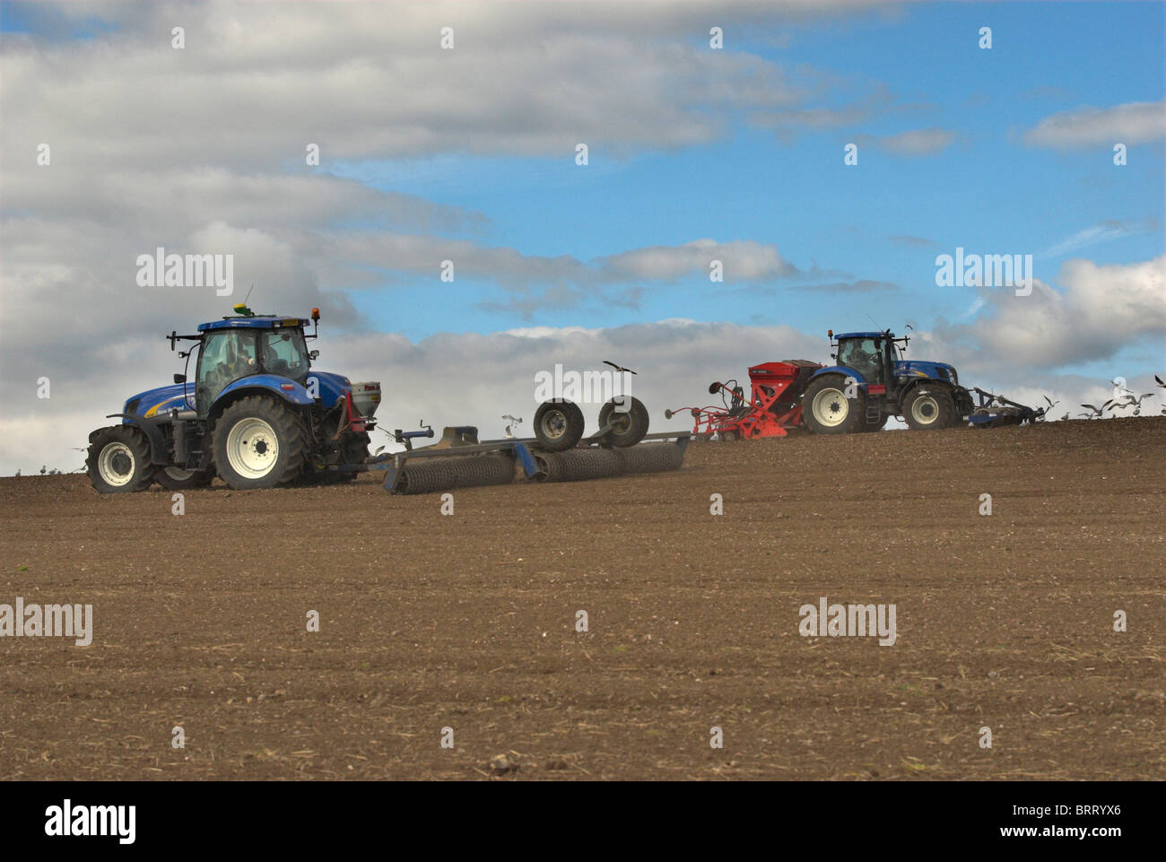 Farming scene in the South Downs National Park, West Sussex Stock Photo ...