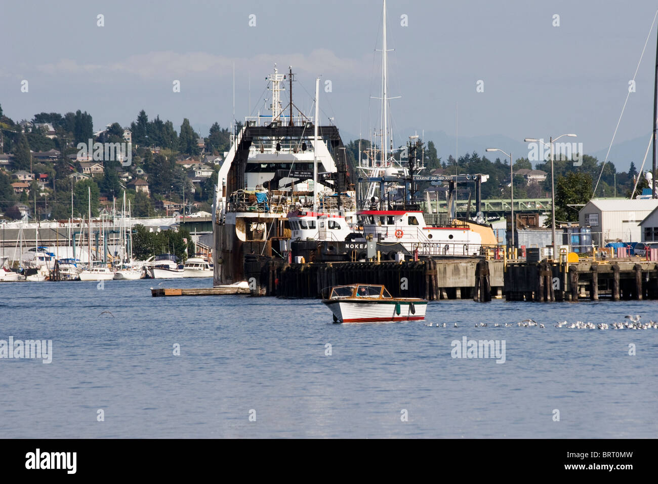 Fishing Trawlers at Ballard Locks Lake Washington Ship Canal Seattle WA ...