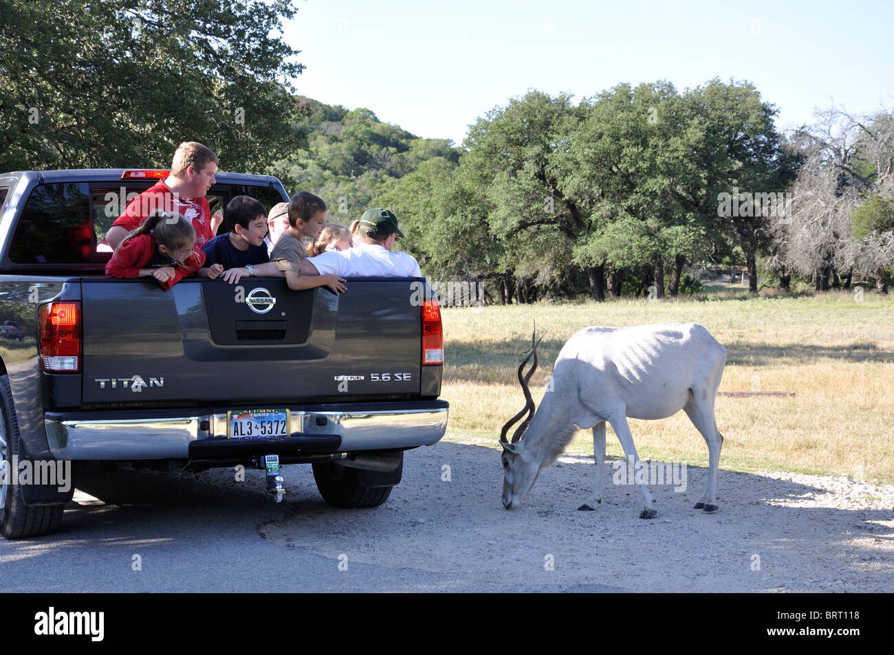 Addax car hi-res stock photography and images - Alamy