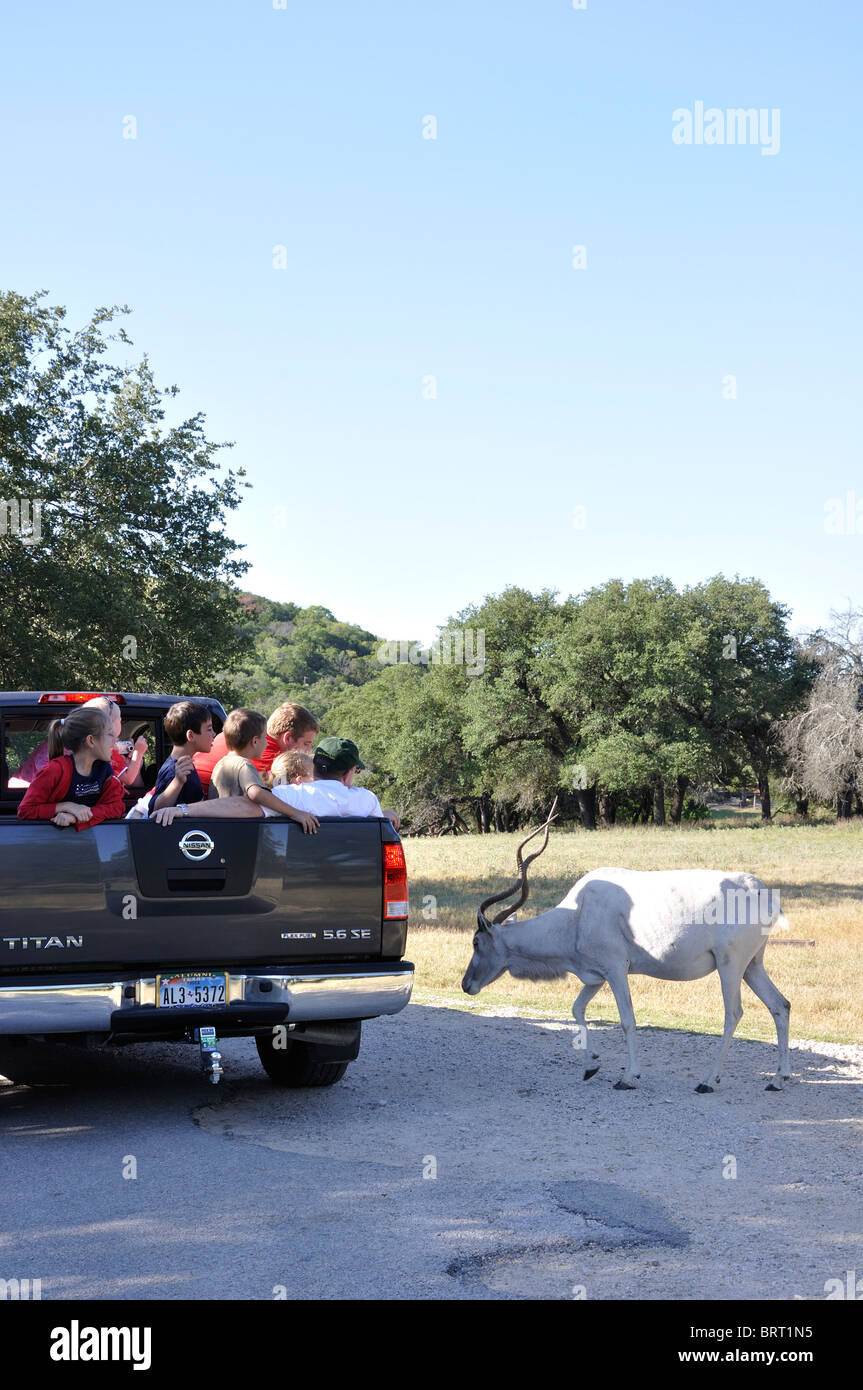 Addax car hi-res stock photography and images - Alamy