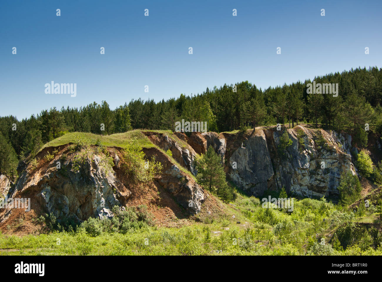Midday summer landscape with pine forest growing on a rock Stock Photo ...