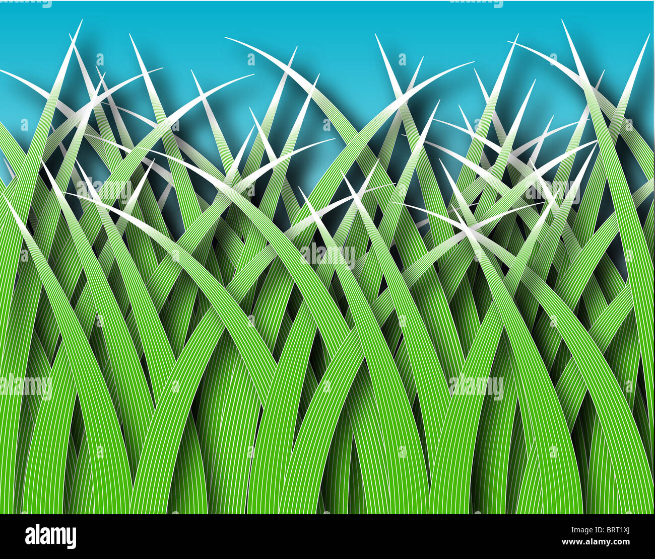 Illustrated design of stylized grass blades with shading Stock Photo ...