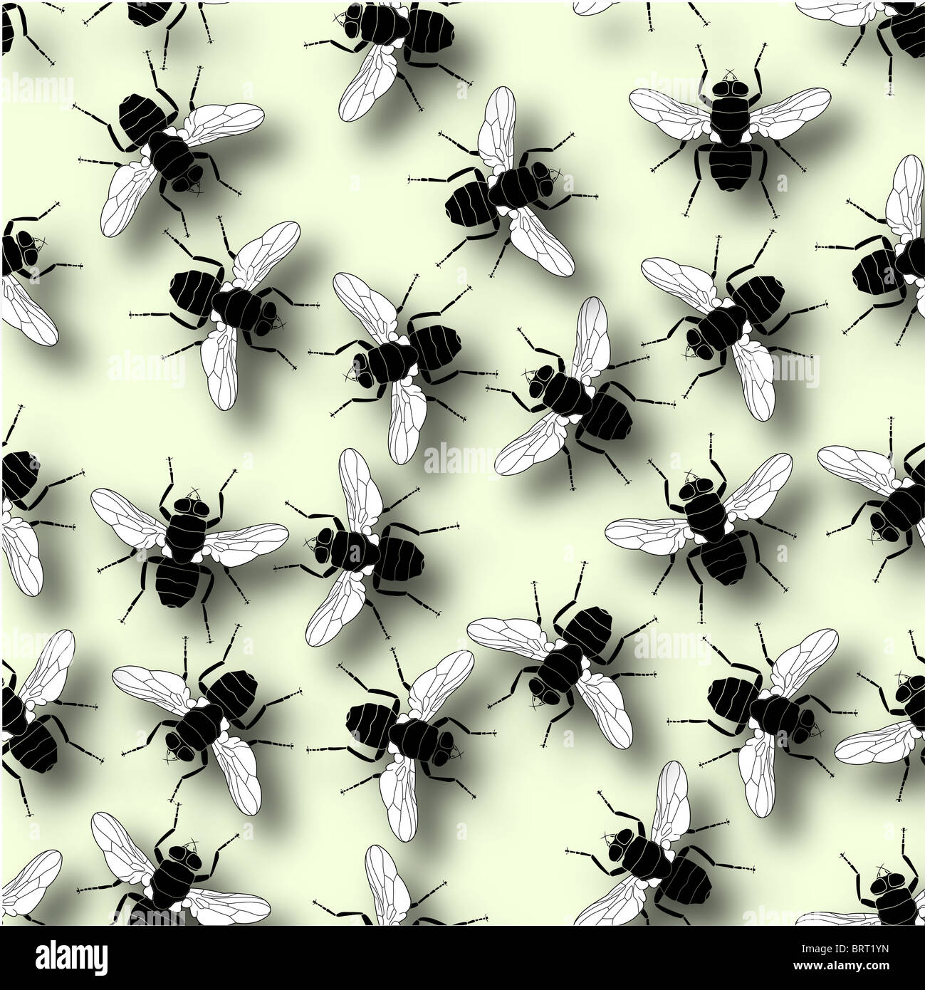 Illustrated design of common flies with shadows Stock Photo - Alamy