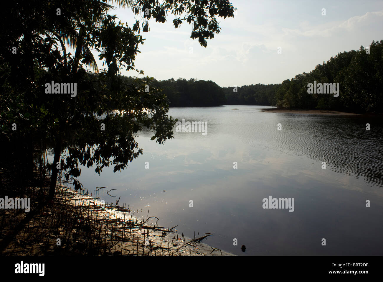 Cherating Beach, Pahang, malaysia Stock Photo - Alamy
